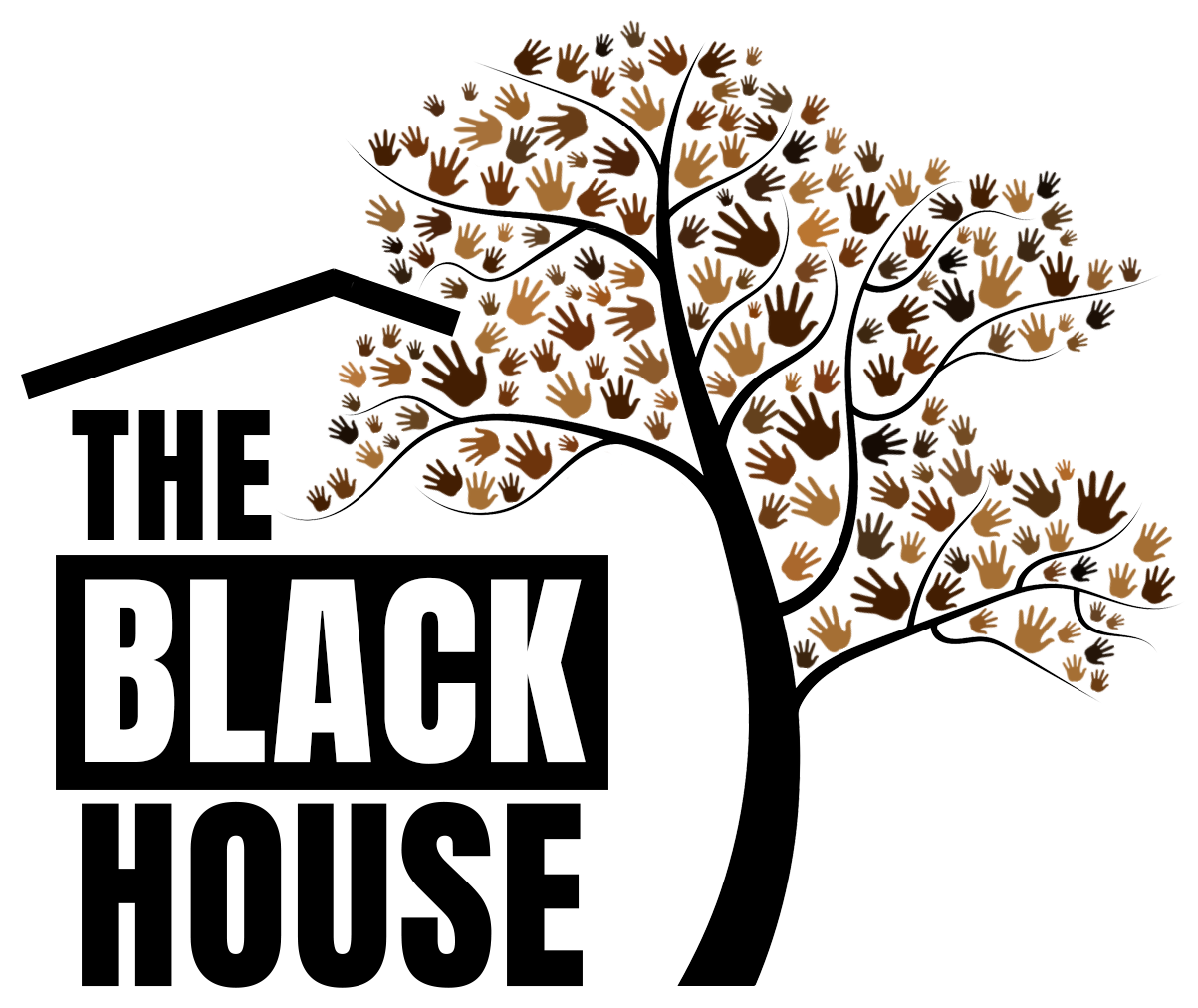 The Black House | Center for Multicultural Equity and Access ...